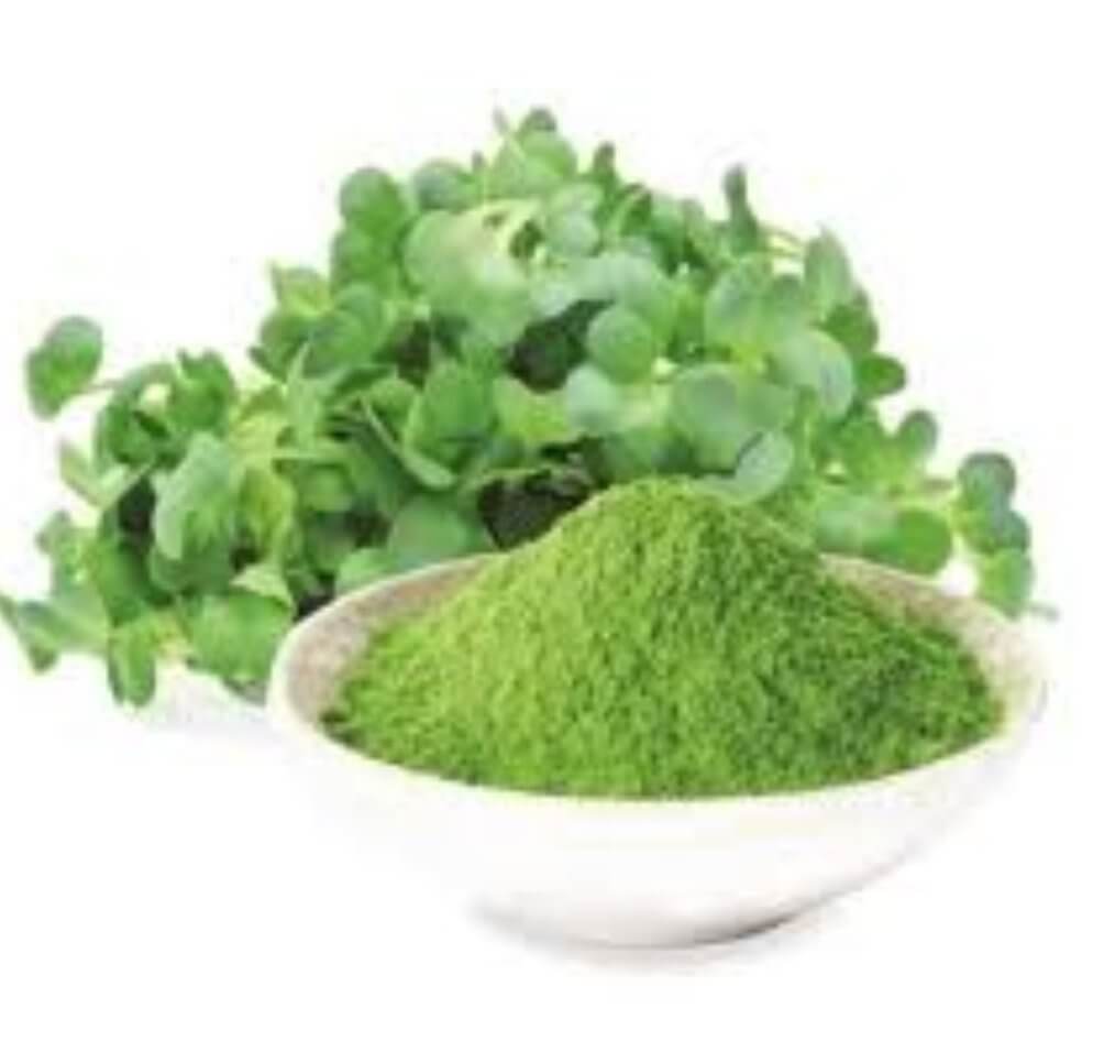 Alfafa powder - Emstah Herbal