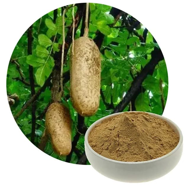 Kigelia Africana Extract powder - Emstah Herbal