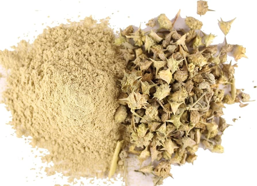 Tribulus Terrestis powder - Emstah Herbal